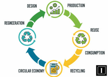 Circular Economy: Redefining Sustainability | IMPAAKT